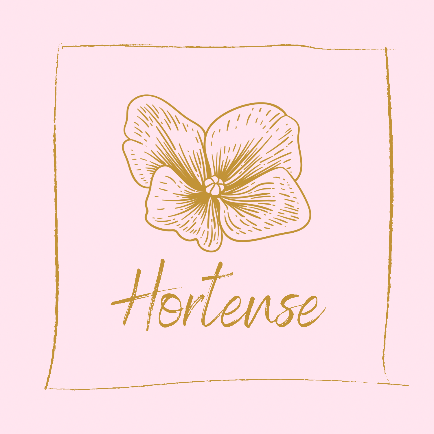 Hortense Studio – hortensestudio